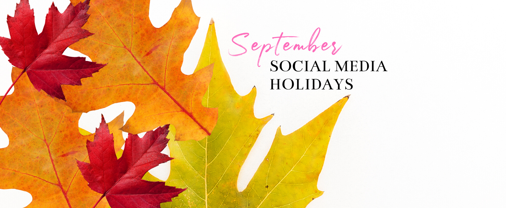 September 2022 Social Media Holiday Calendar with Hashtags ...